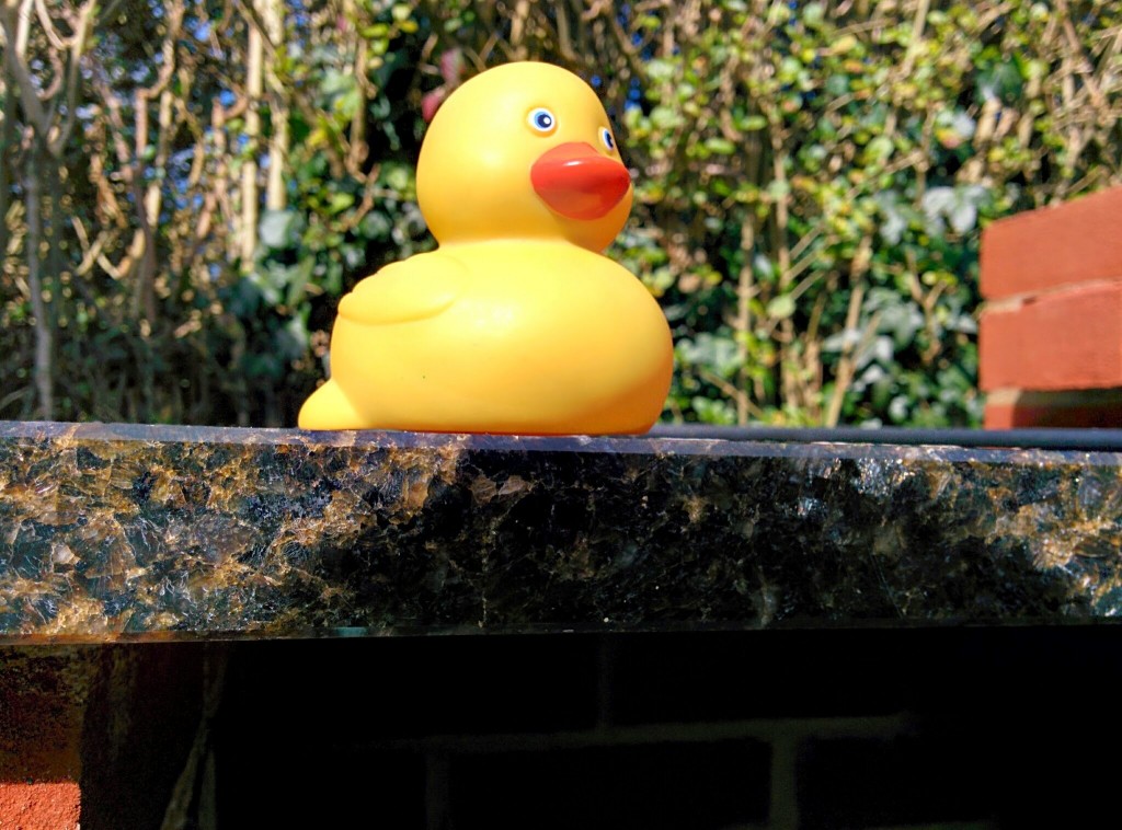 Sam Duck - Storrington Duck Race